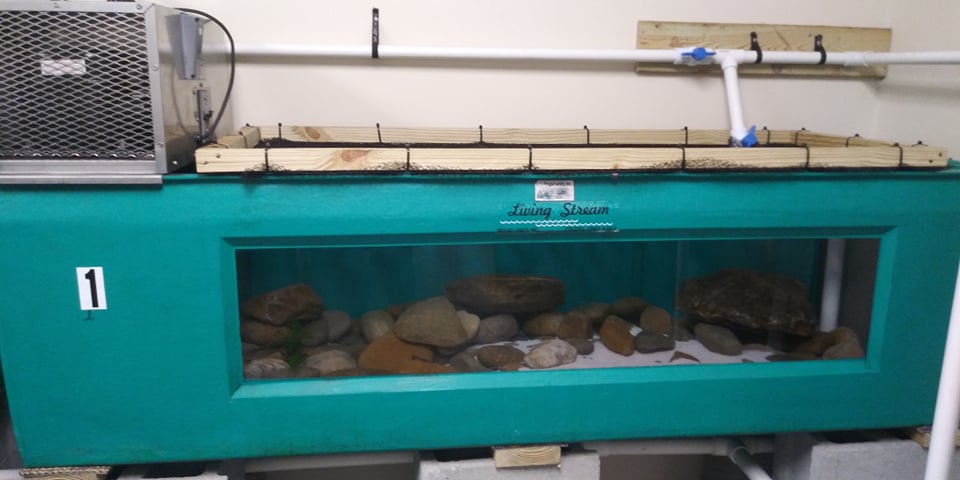 Research | Highlands Biological Station