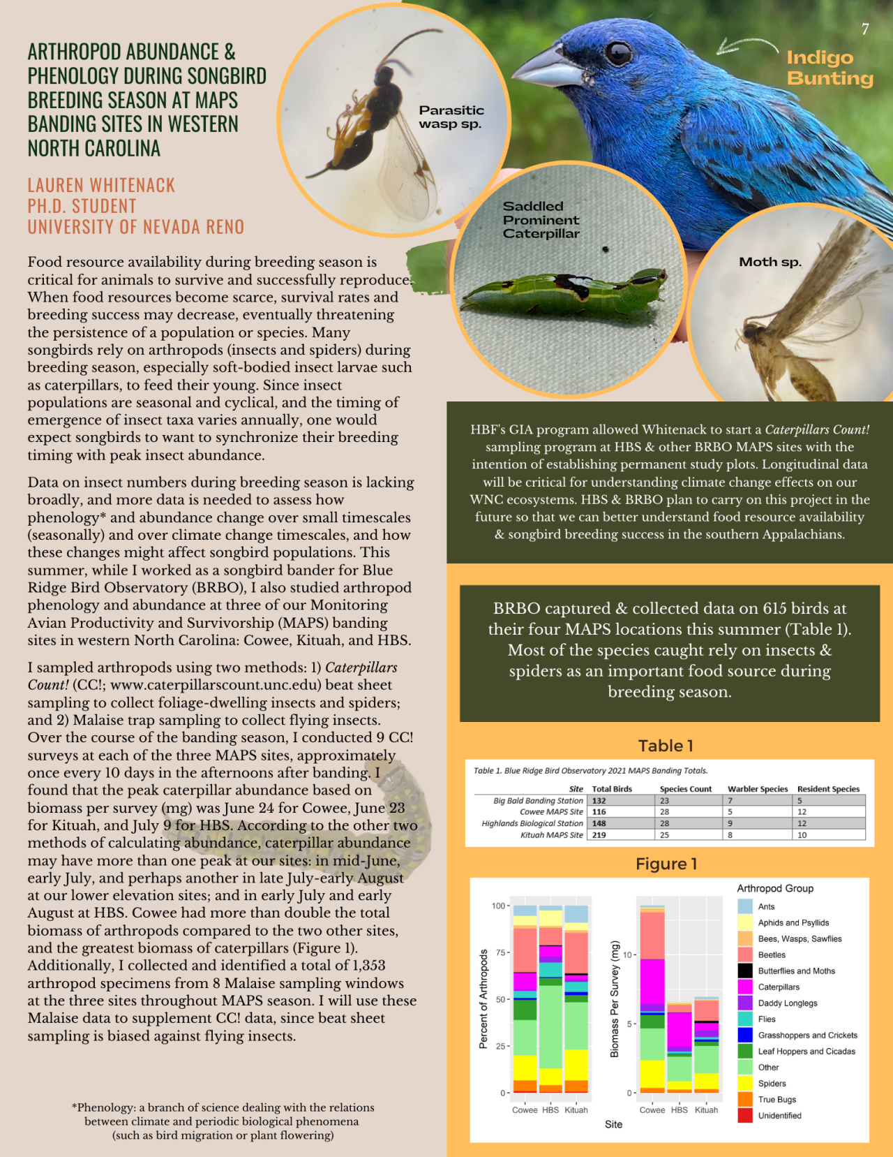 MAPS Bird Banding - Highlands Biological Station
