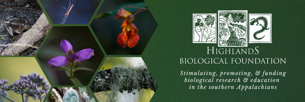 Foundation - Highlands Biological Station