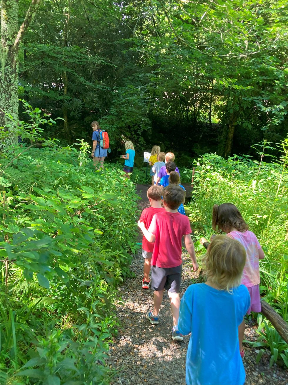 2024 Nature Camps - Highlands Biological Station
