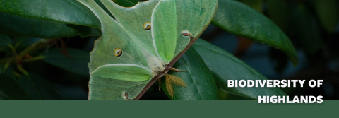 Biodiversity of Highlands - Highlands Biological Station