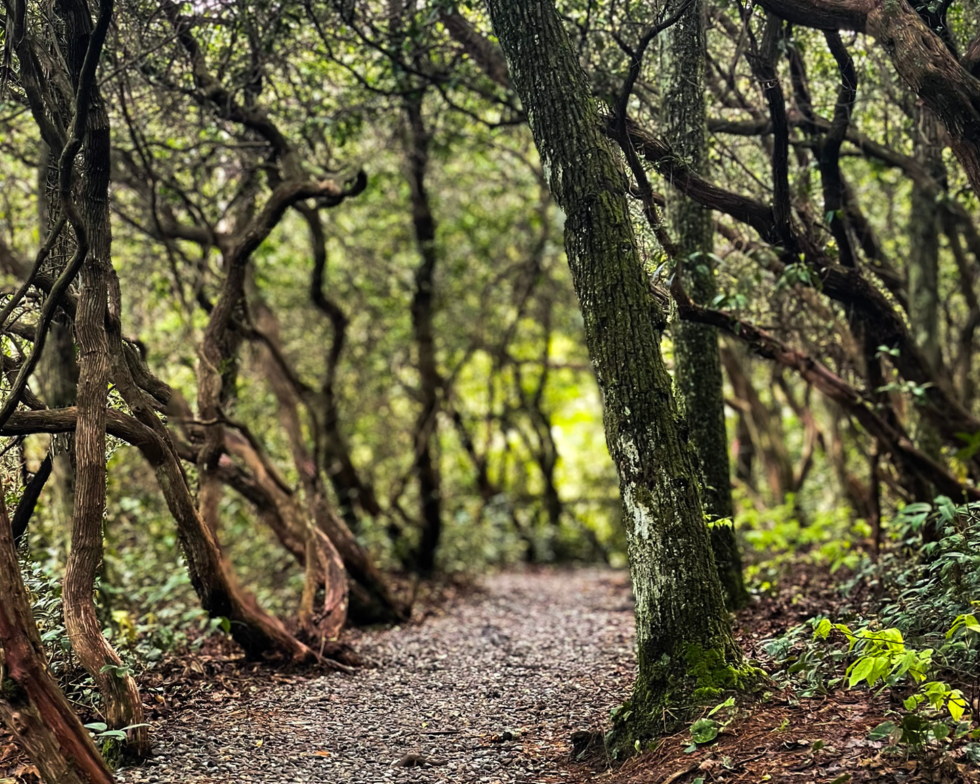 Home - Highlands Biological Station
