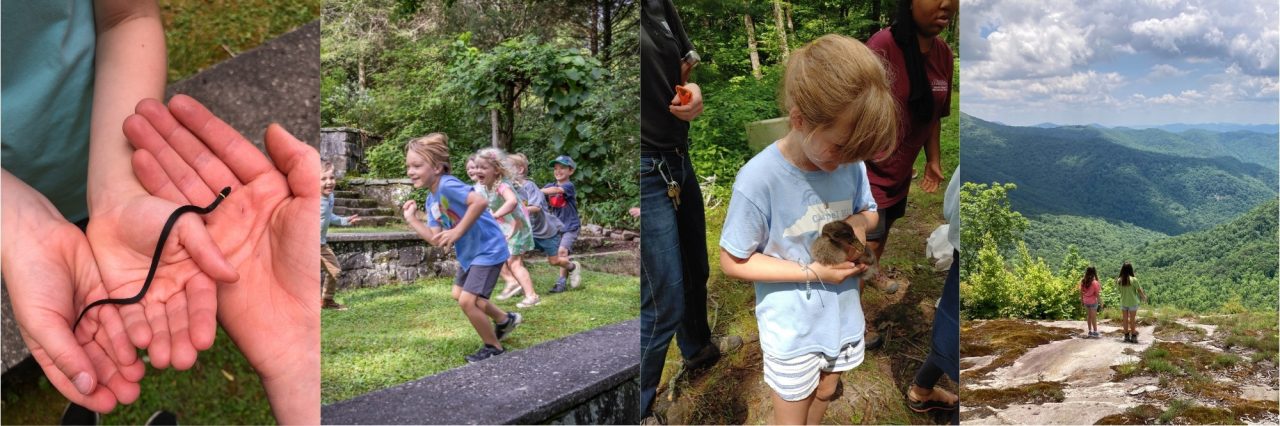 2025 Nature Camps - Highlands Biological Station