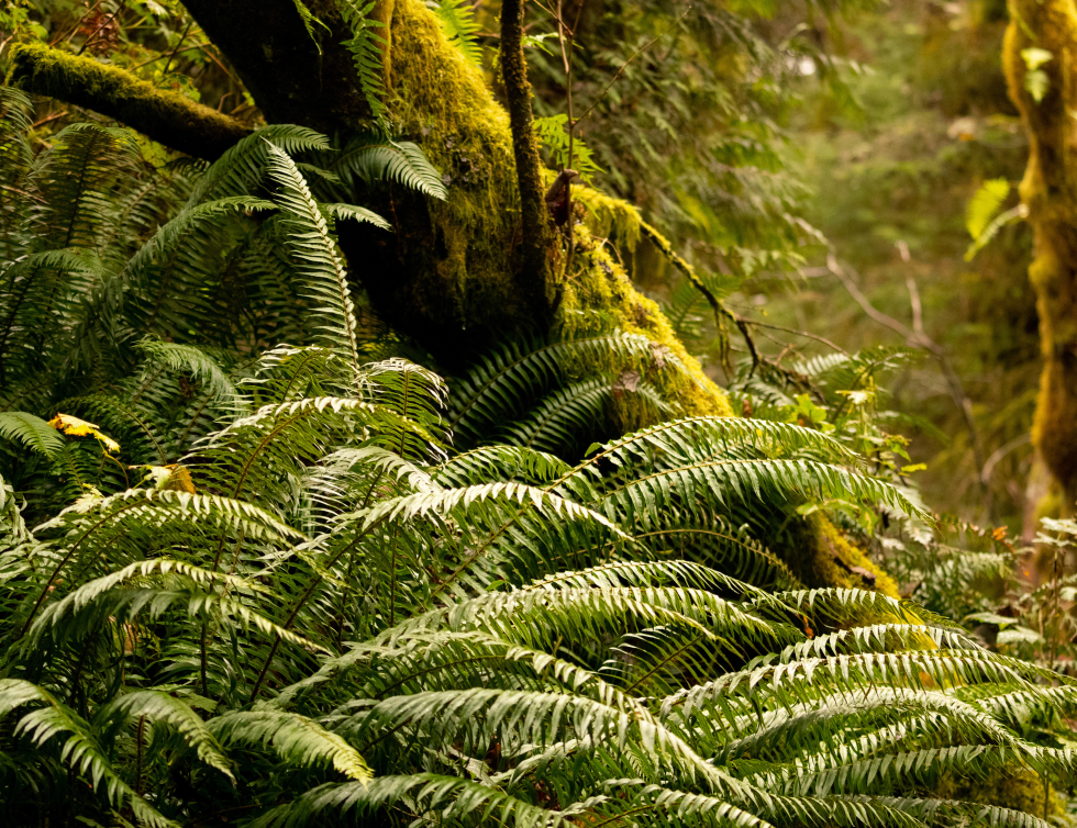 Biodiversity of Highlands - Highlands Biological Station