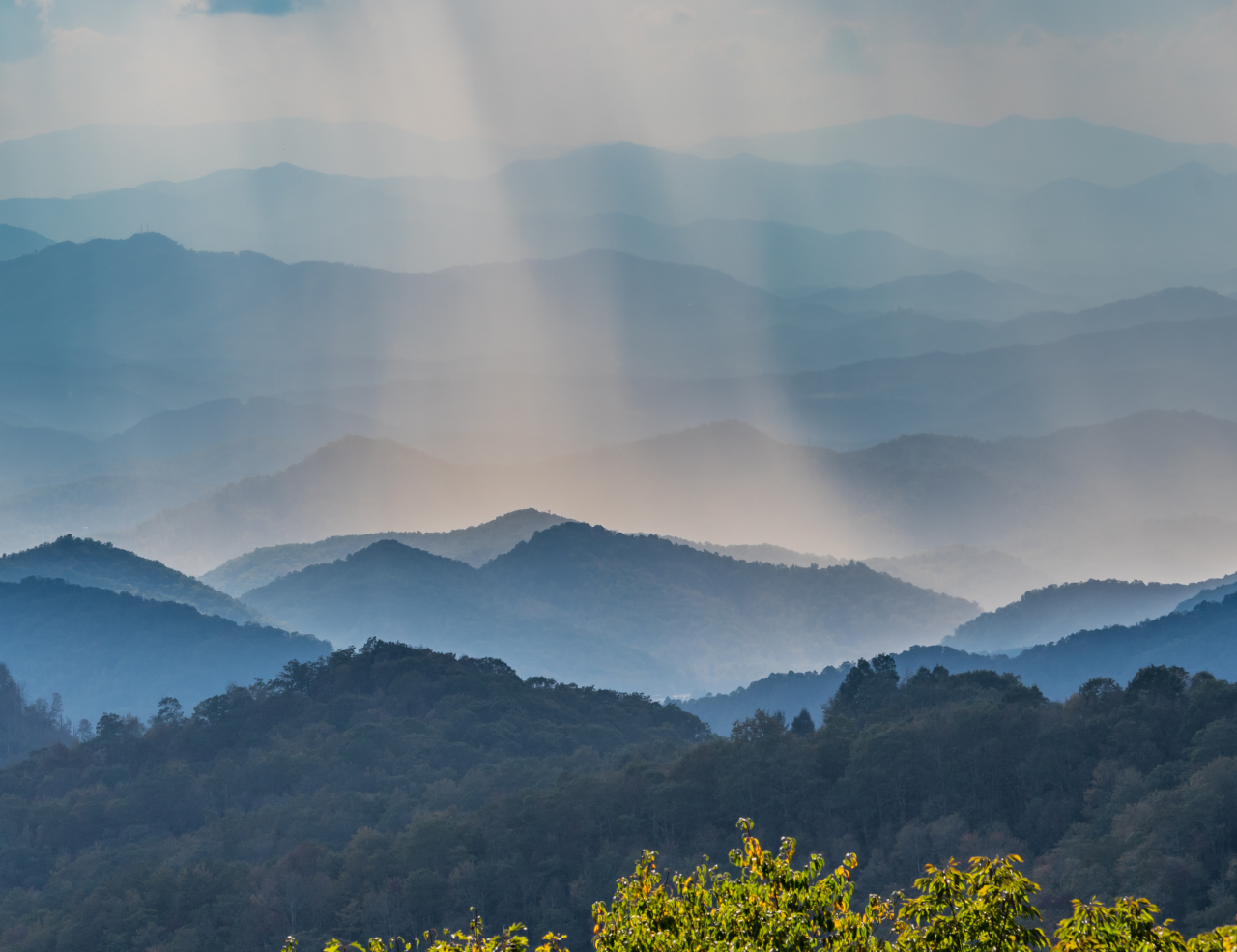 Biodiversity of Highlands - Highlands Biological Station