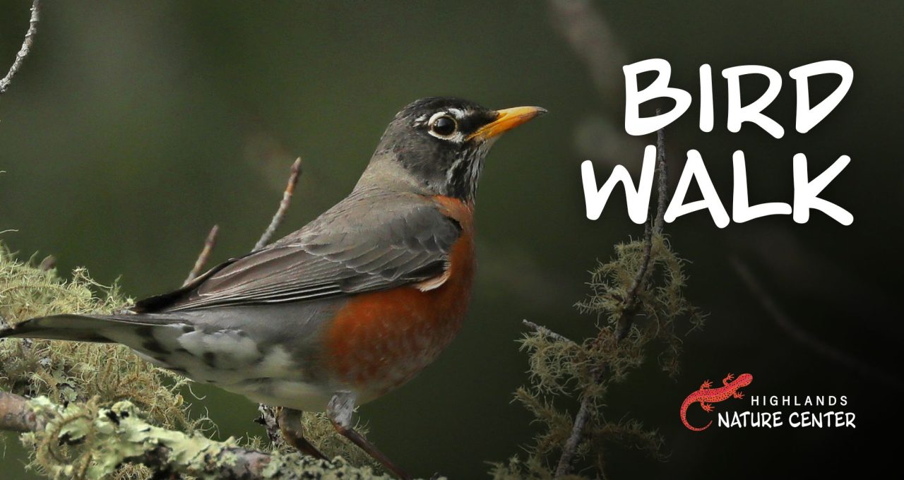 Morning Bird Walk - Highlands Biological Station