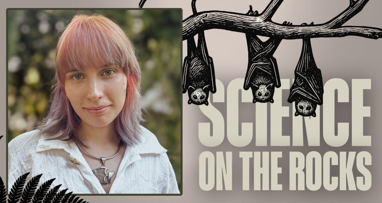 Science on the Rocks: Microplastics in Big Brown Bats - Highlands ...